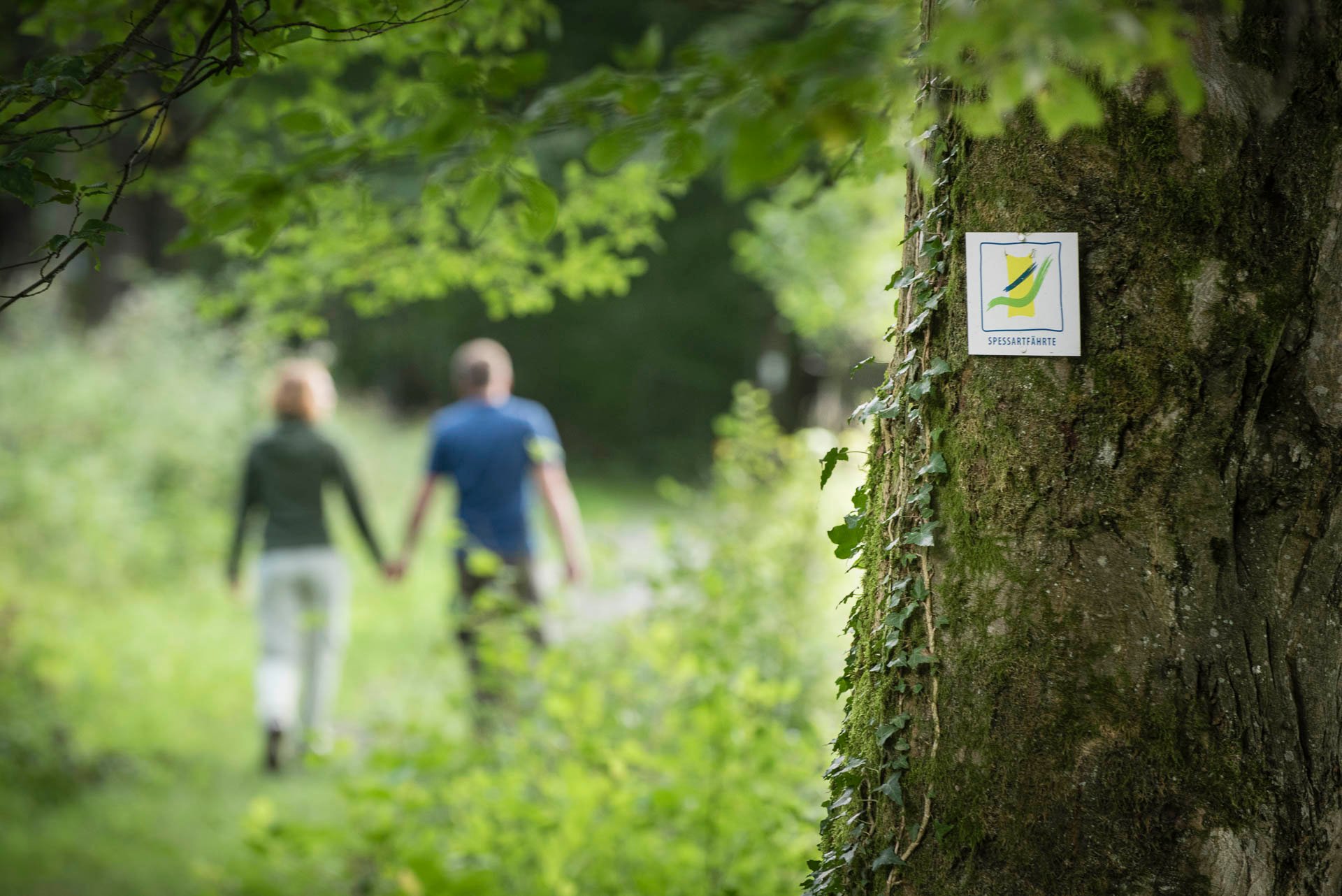 Wander- und Mountainbike-Touren | Jossgrund